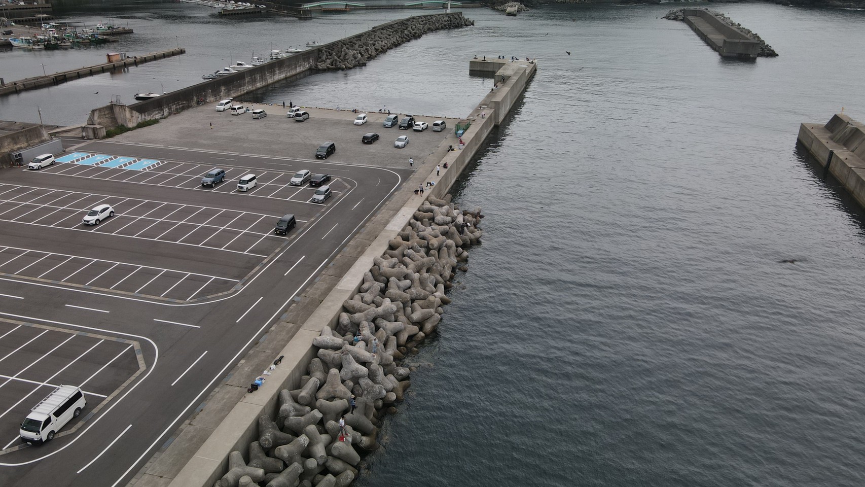 【和歌山市】『雑賀崎漁港：さいがさきぎょこう』のおすすめ海釣りガイド（釣れる魚・駐車場・トイレ）｜和歌山釣りwalker